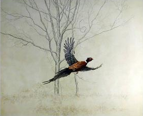 Chris Forrest – Level1gallery